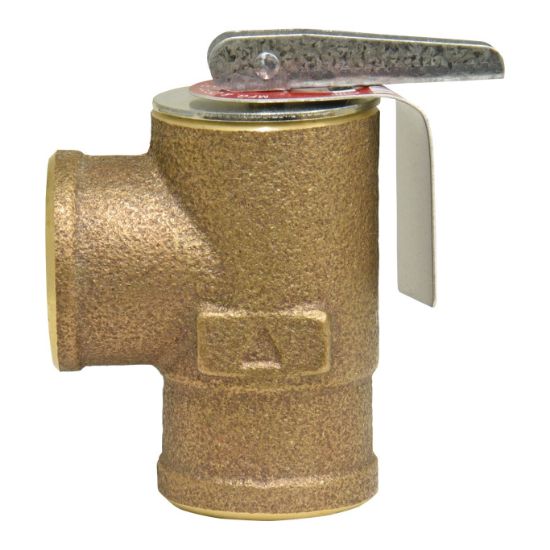 Watts 0342693 335 Series 3/4 in. FPT x FPT Bronze 30 psi Boiler ...